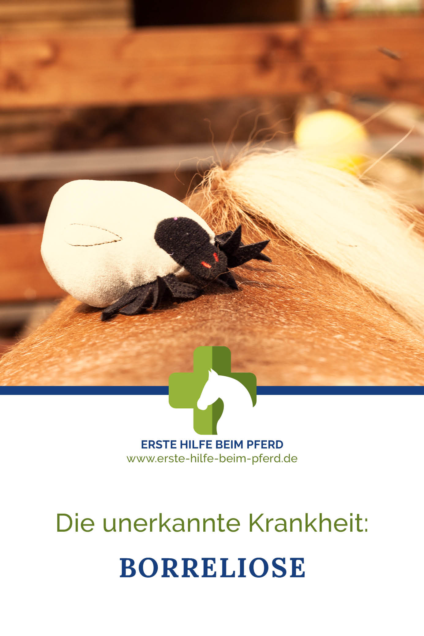 Borreliose Beim Pferd Symptome